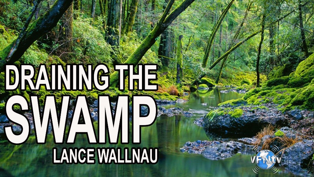 WATCH! Prophecy Fulfilled? Swamp Creatures in Washington D.C. Fighting ...